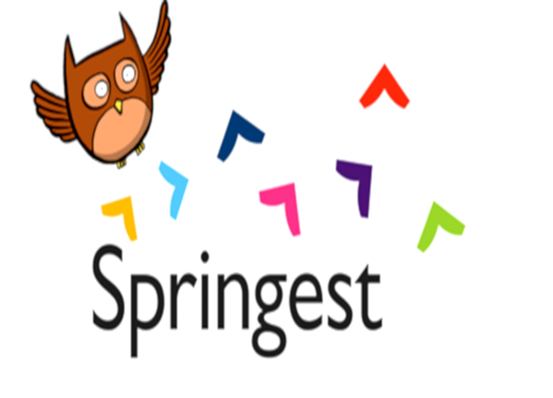 Springest: Immersion dans l'Holacracy - altman